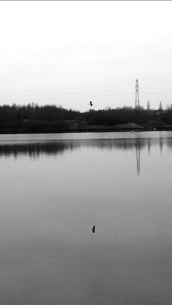 Review of ‘Walking Off the Land’ by Anne McMaster | The Wombwell Rainbow