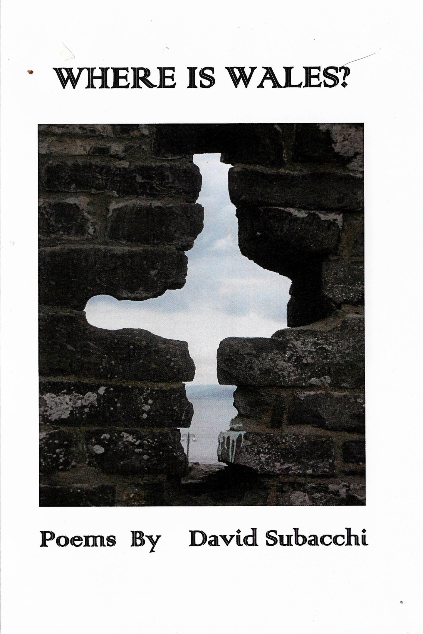 Wombwell Rainbow Interviews: David Subacchi | The Wombwell Rainbow