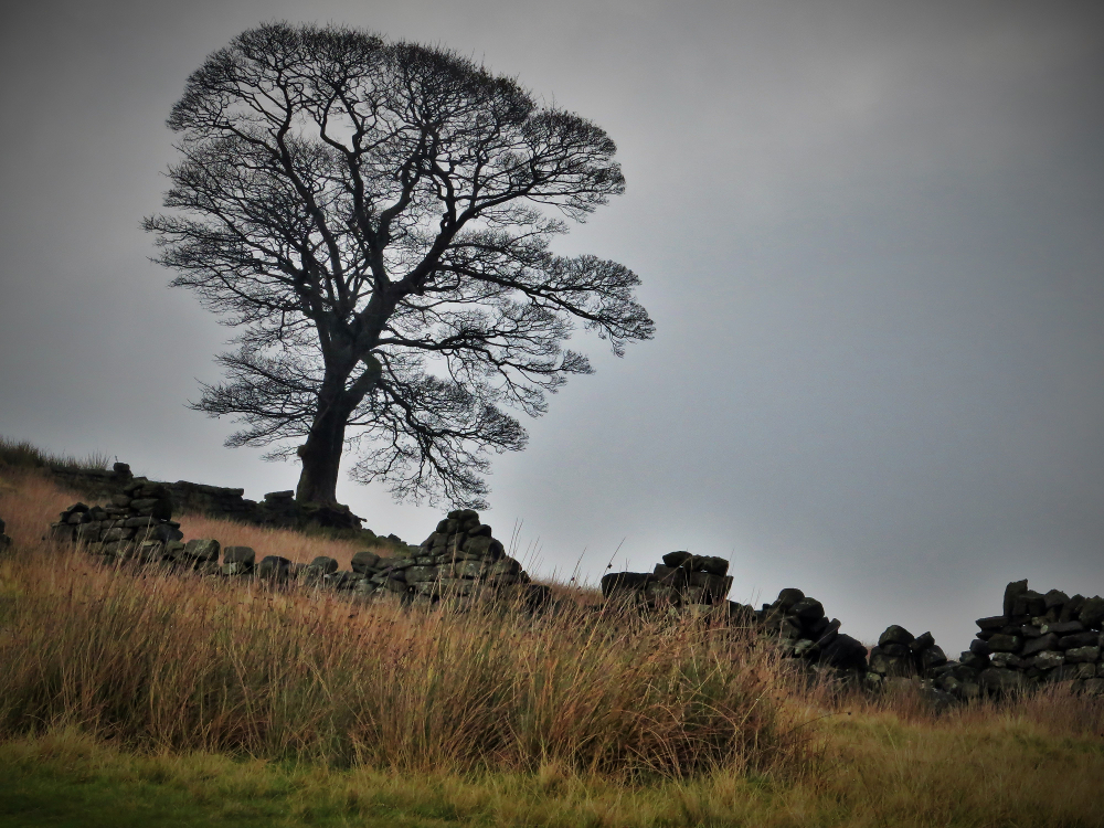 Special Launch Feature – Rik Lonsdale | The Wombwell Rainbow