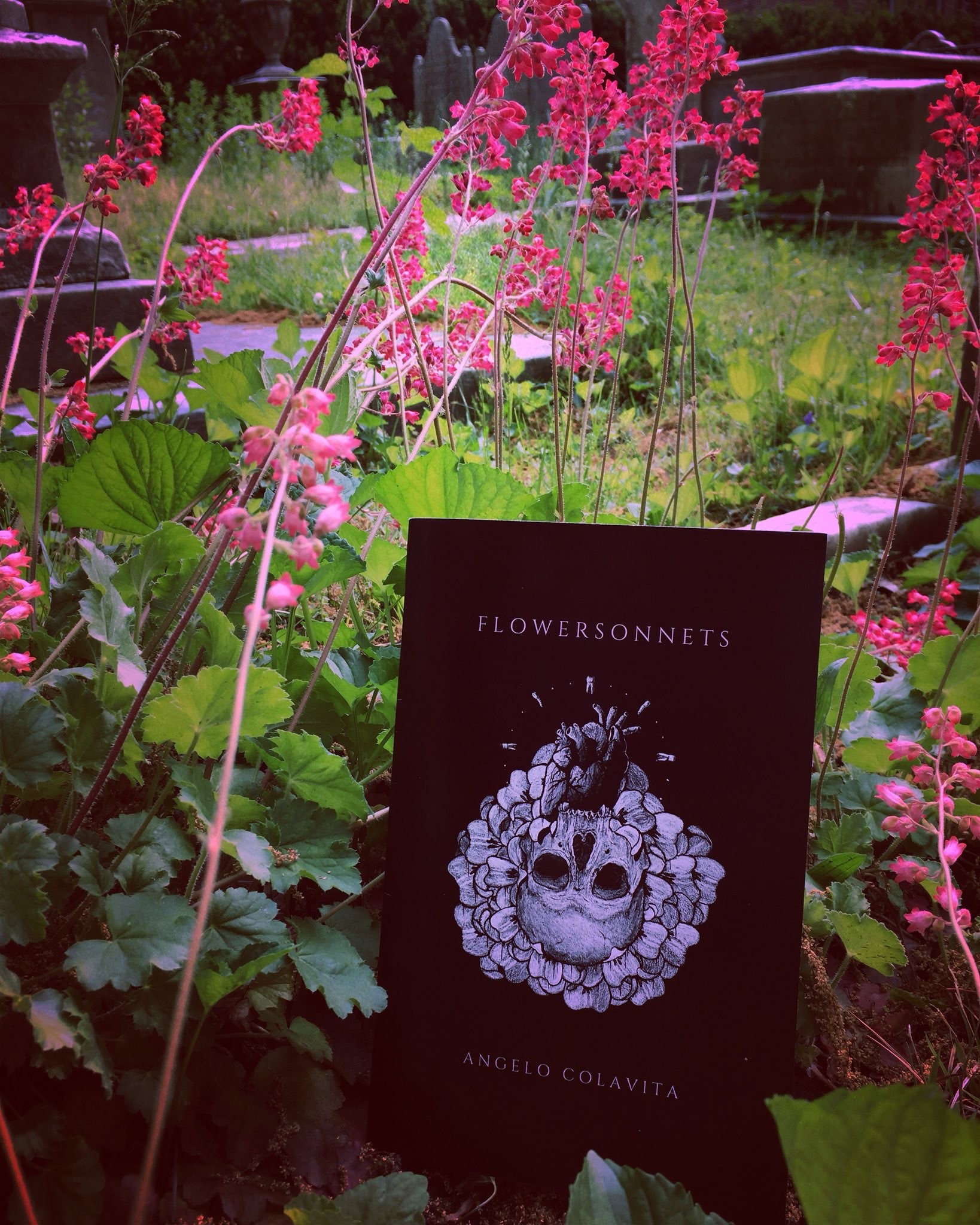 Wombwell Rainbow Interviews: Angelo Colavita | The Wombwell Rainbow