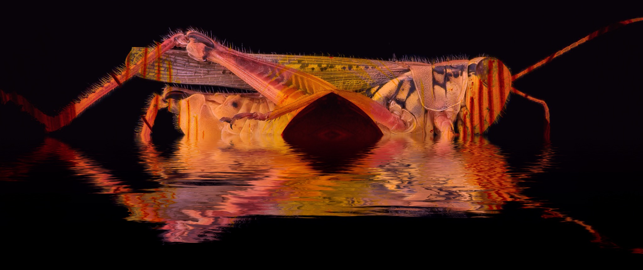 Welcome to a special ekphrastic challenge for May. Artworks from Mary ...