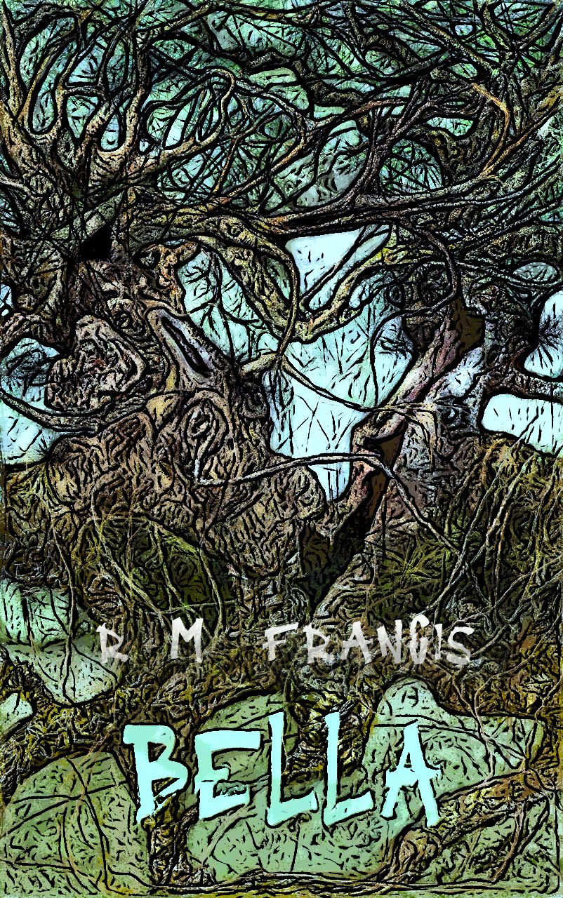 Wombwell Rainbow Book Interviews: “Bella” by R.M. Francis | The ...