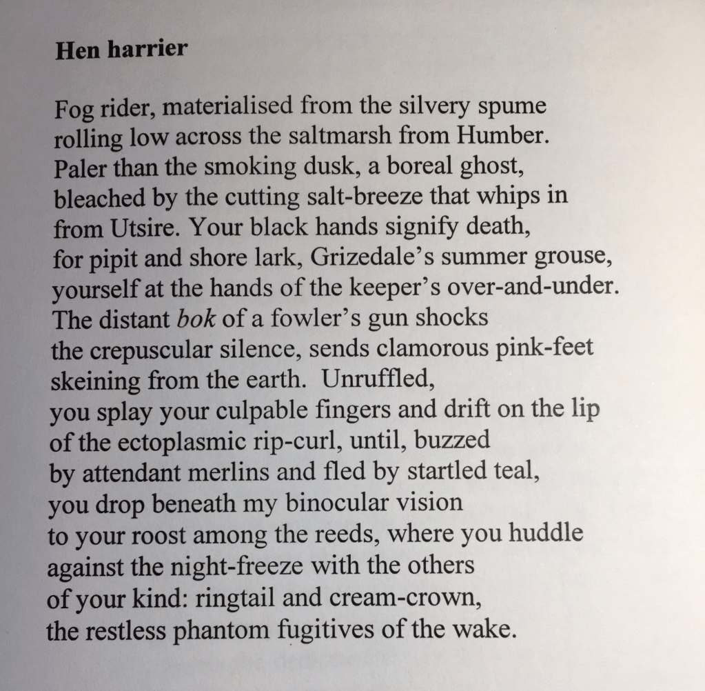 Have you written poems about Hen Harriers? Have you drawn, painted Hen ...