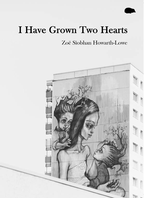 Drop in Zoë Siobhan Howarth-Lowe | The Wombwell Rainbow