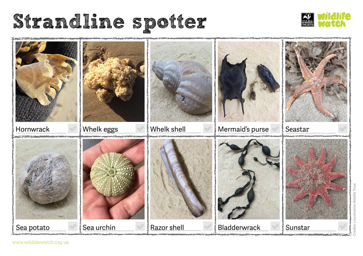 #NationalMarineWeek 2021 24th July – 8th August. Fourth Day July 27th ...