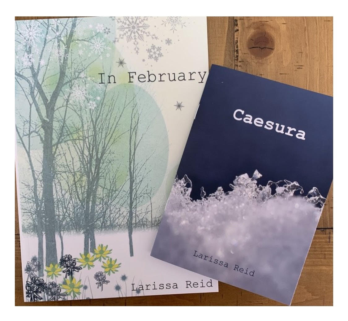 Wombwell Rainbow Interviews: Larissa Reid | The Wombwell Rainbow