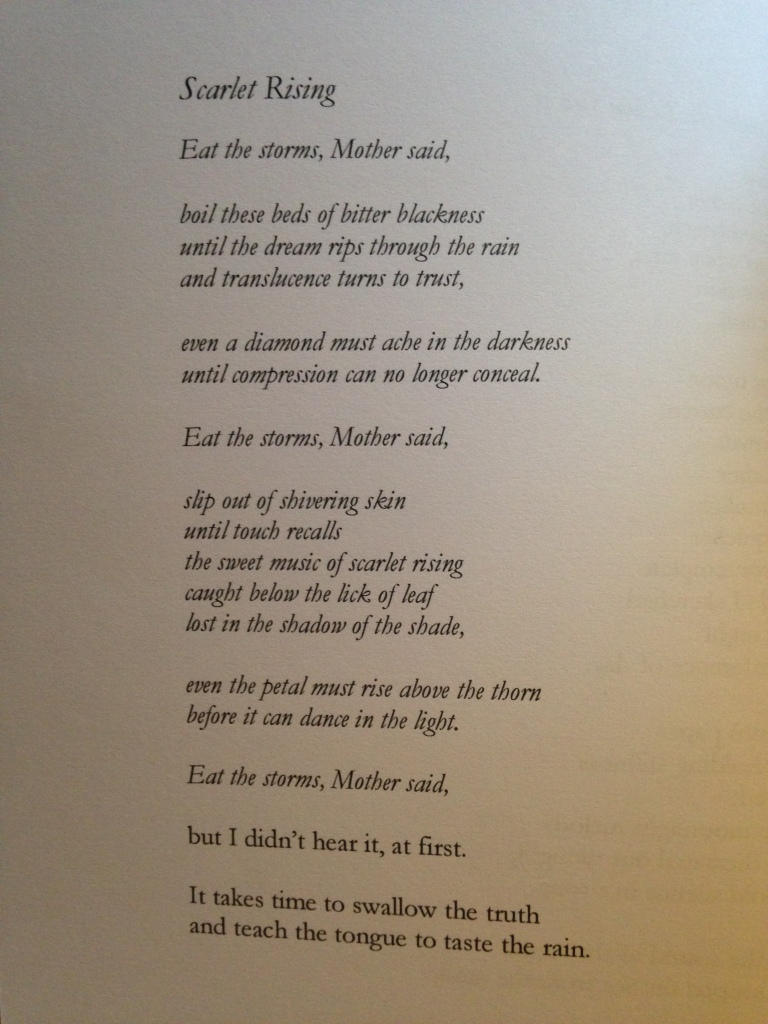 Meet The Poet: Damien Donnelly | The Wombwell Rainbow